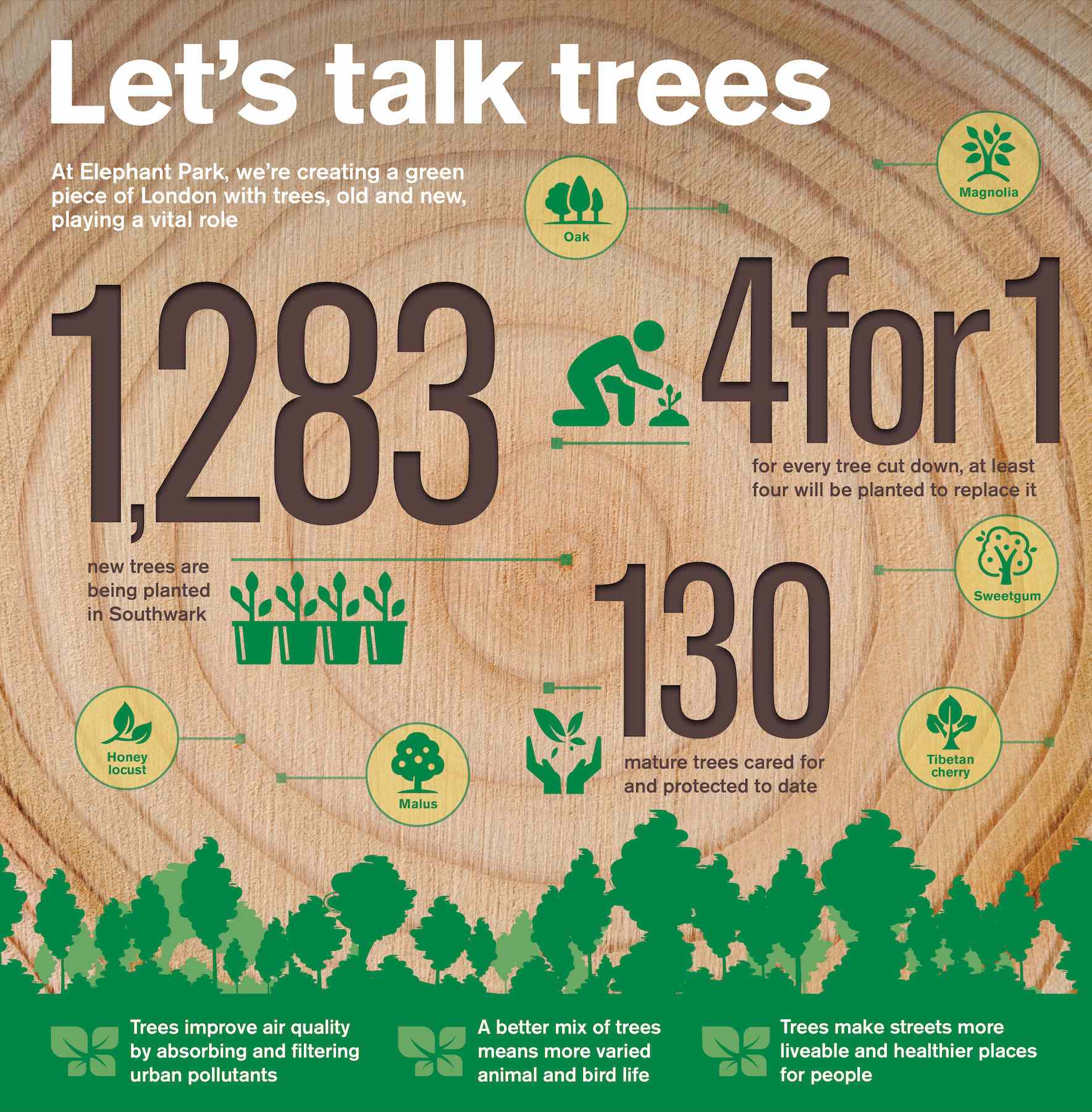 Let's Talk Trees | Elephant Park Elephant and Castle